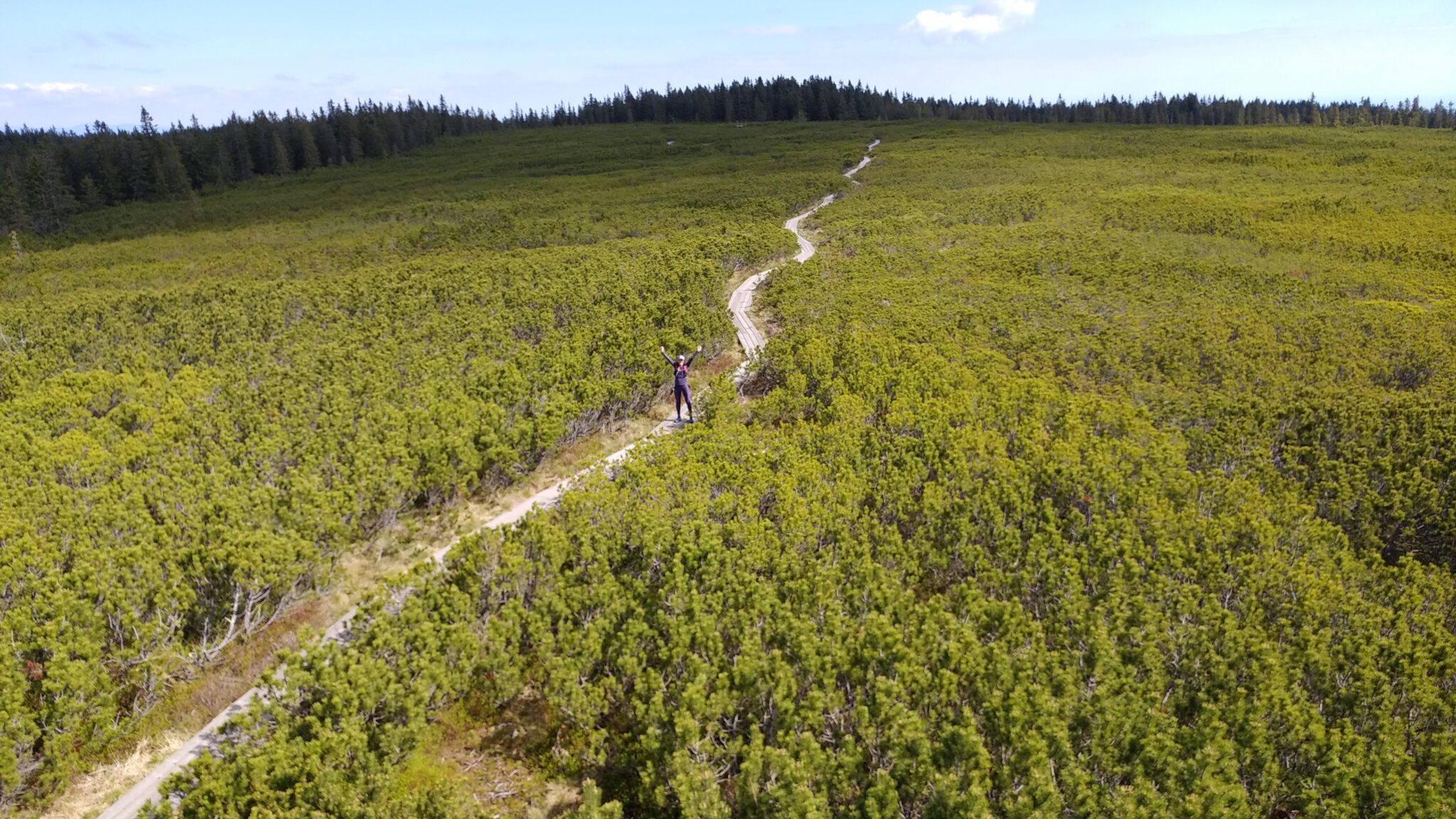 OUTDOOR EXERCISE FOR EVERYONE - TRAIL/Hike on ROGLA - Healthy And Active